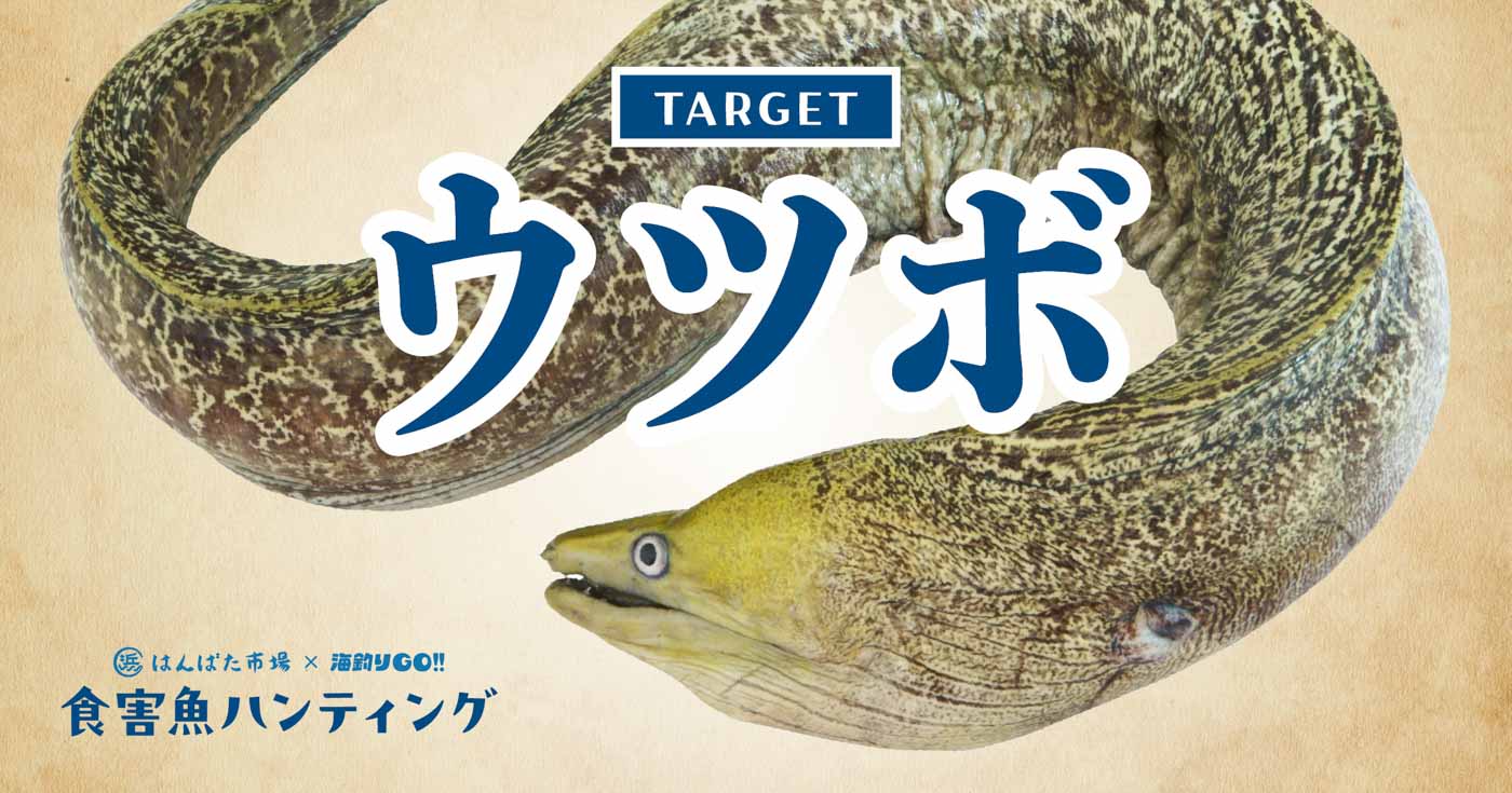 UMIGO | きっと、いい思い出になる