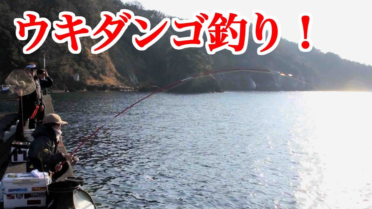UMIGO | きっと、いい思い出になる