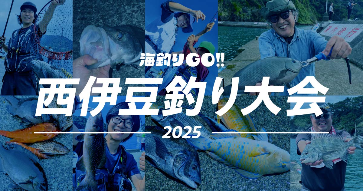 UMIGO | きっと、いい思い出になる